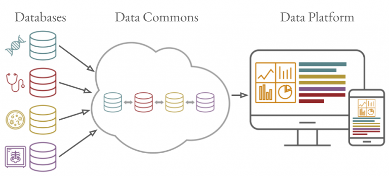 Pediatric Cancer Data Commons - Pediatric Cancer Data Commons